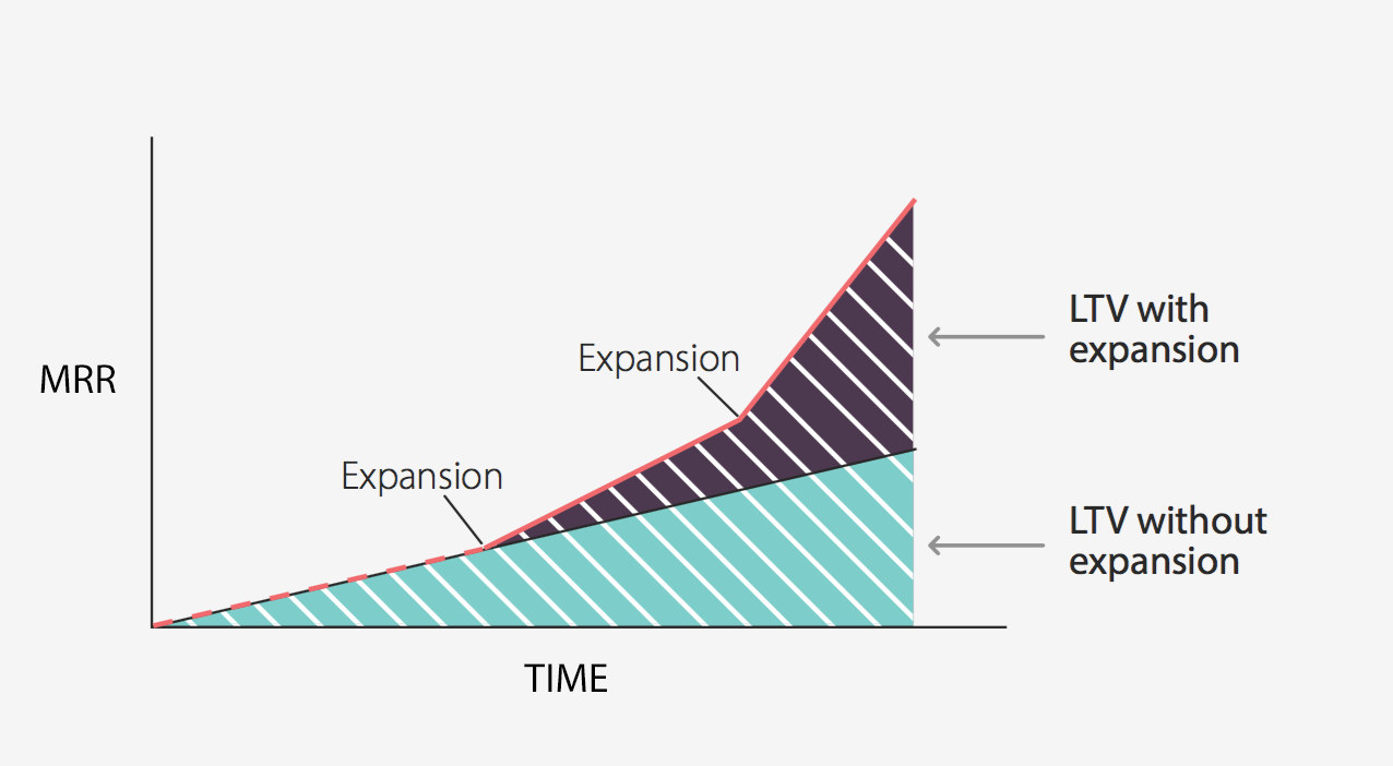 Actionable SaaS Metrics: Customer Lifetime Value (LTV)